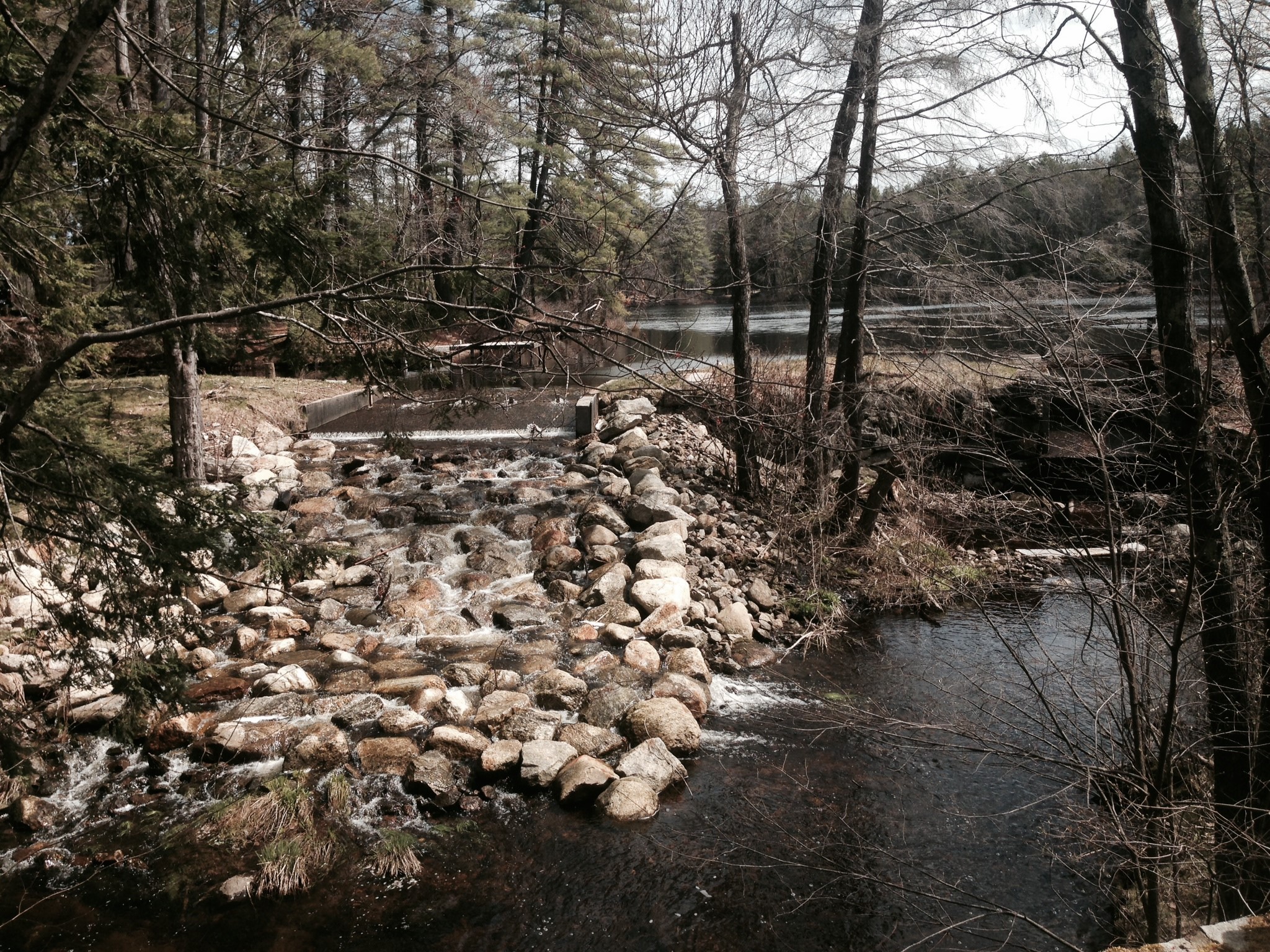 Stoddard Pond Dam – Northeast Geotechnical, Inc.